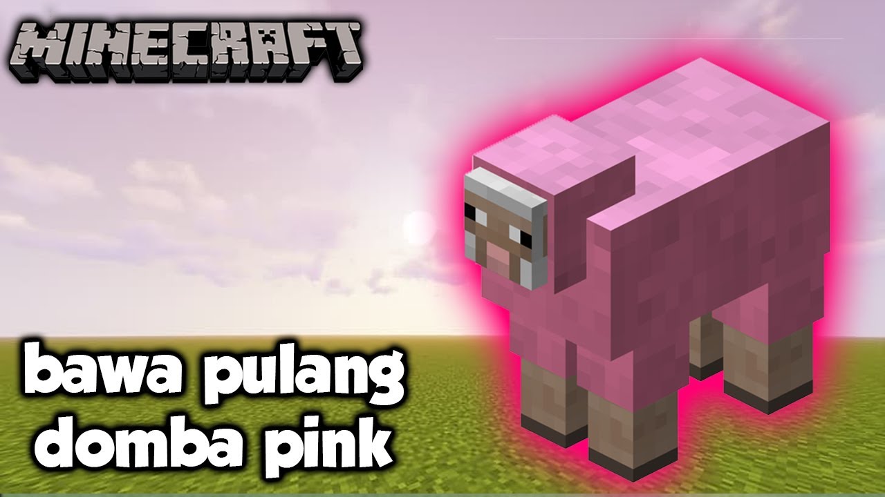 LIVESTRIM INI CUMA BAWA DOMBA PINK PULANG KERUMAHKU - MINECRAFT - YouTube