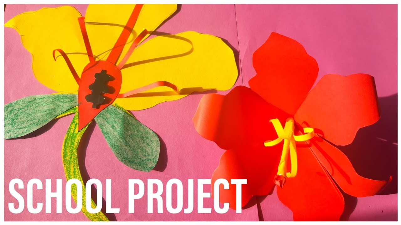 FLOWER PARTS - 5th Standard ICSE Science Project - Simple to make 2D ...