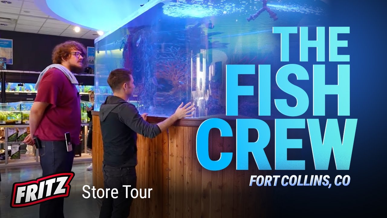 This Is How You Build a Fish Store! - YouTube