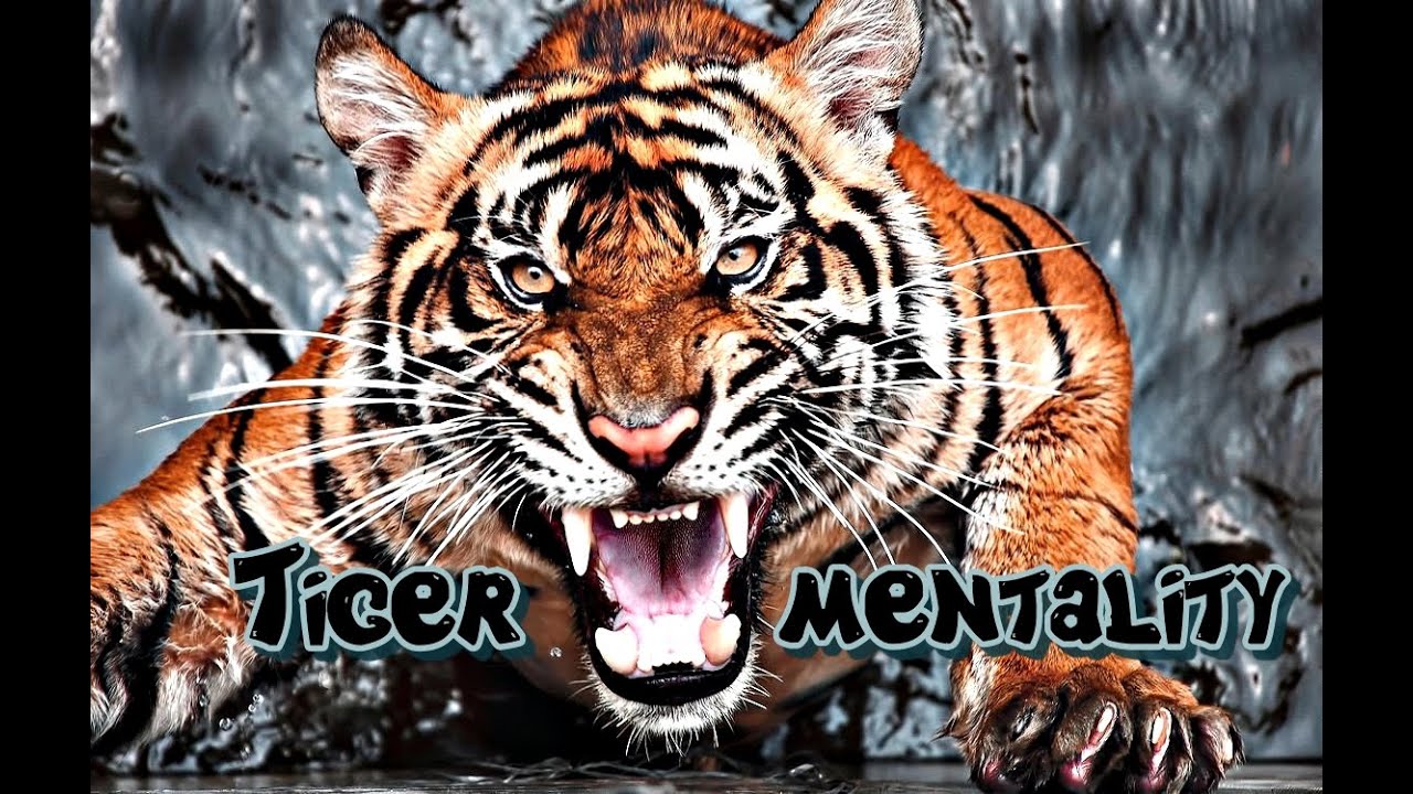 Tiger Mentality - Best Motivational Speech - YouTube