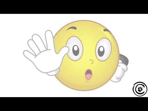 Math Gr6 T2 SU2 Prime Factorisation Ladder Method - YouTube