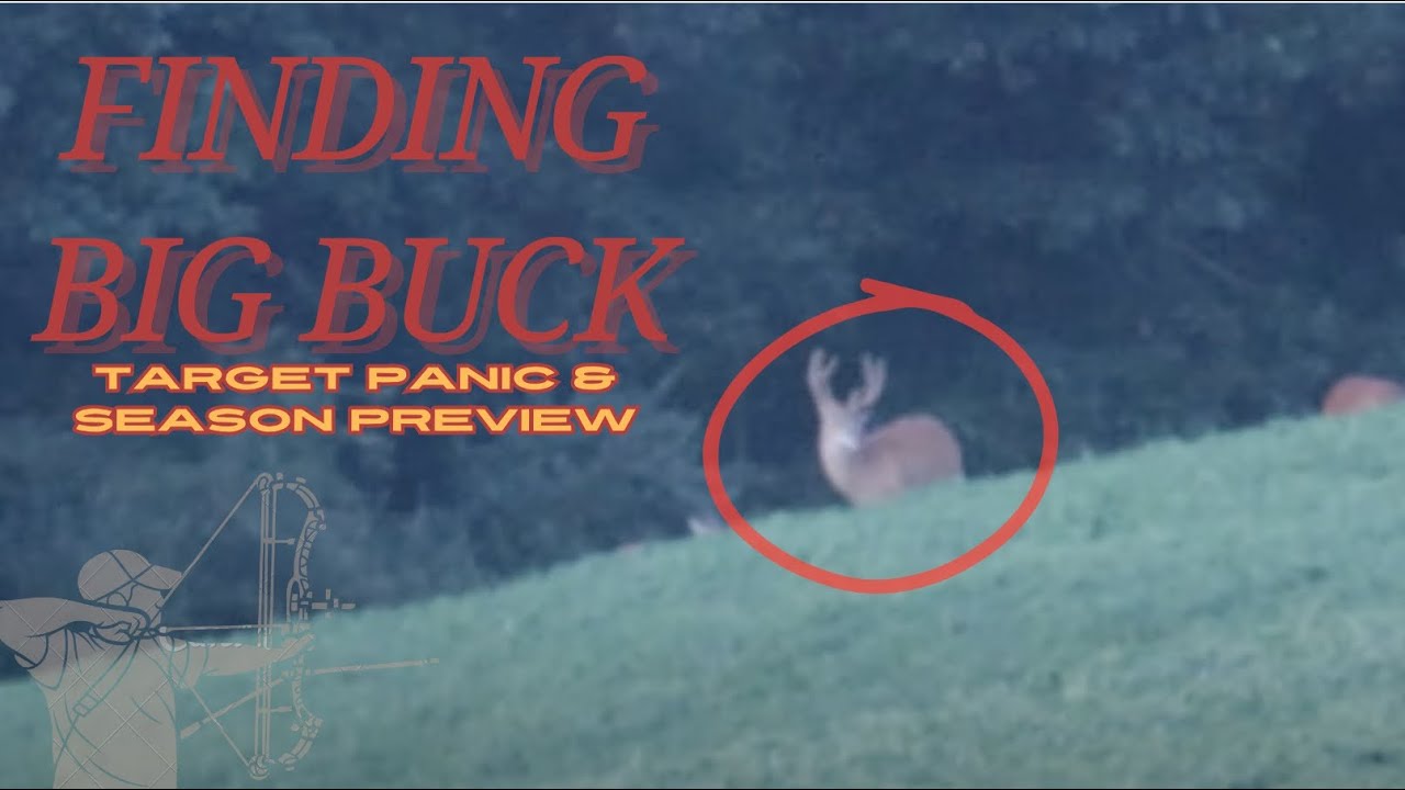 Finding Big Buck, Target Panic, Season Preview and More... - YouTube