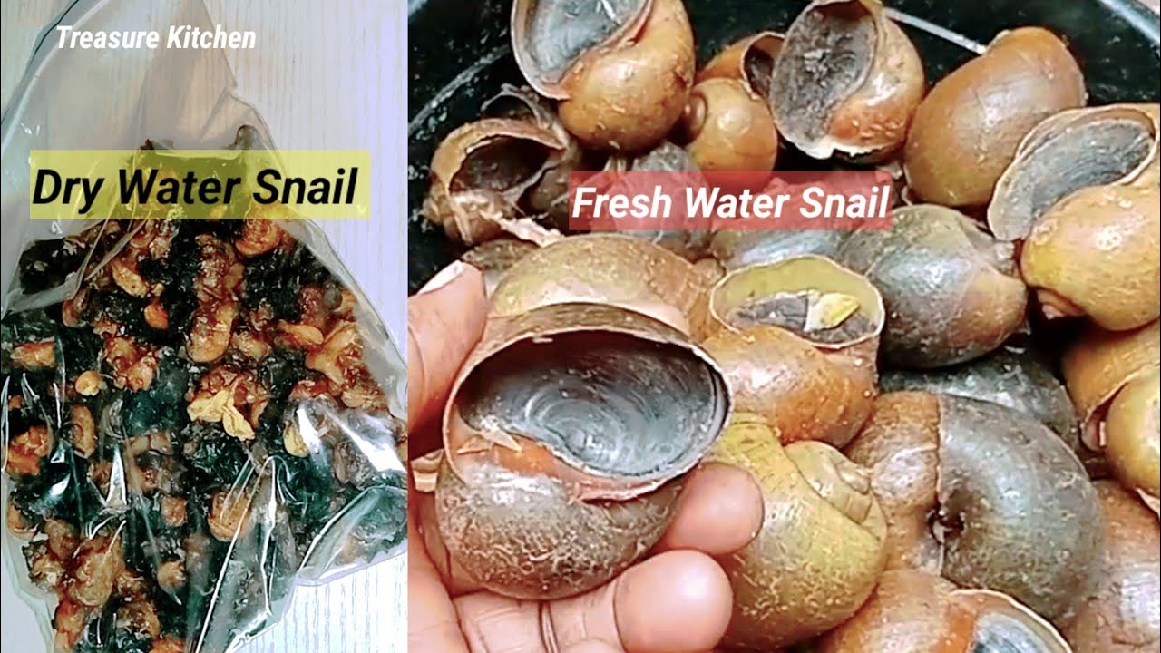 Ngolo | Fresh Water Snail / How To Clean, Dry & Preserve Water Snail ...
