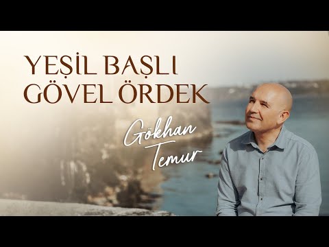 Gökhan Temur - Yeşil Başlı Gövel Ördek