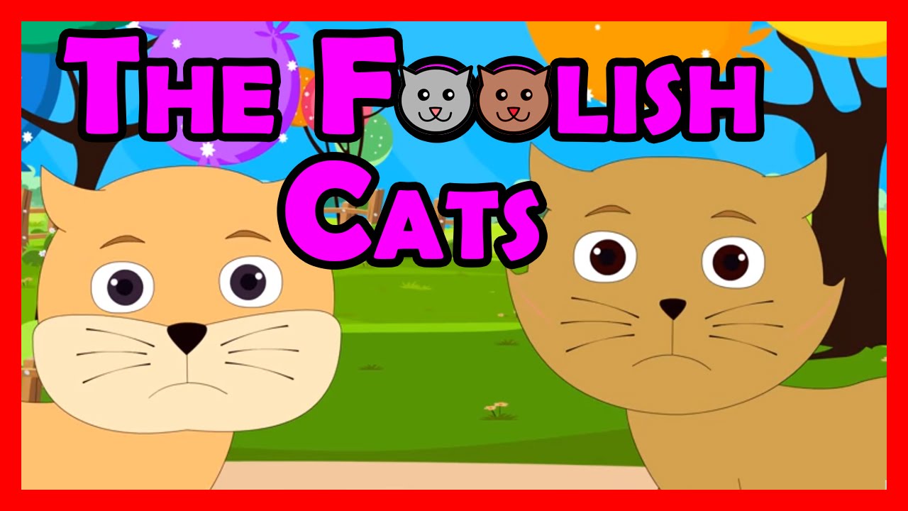 The Foolish Cats - Nursery Rhymes Children - YouTube