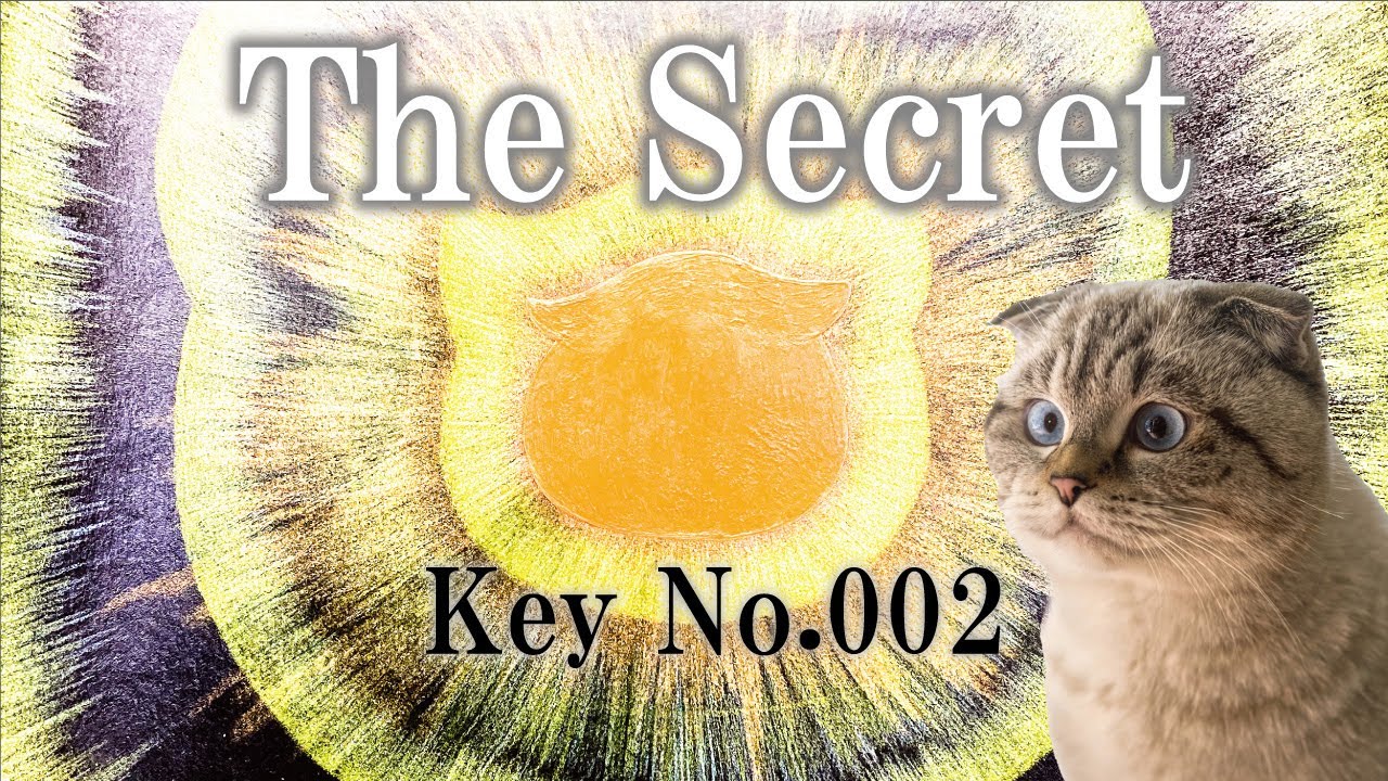 This cat is the key to our secret. / この猫が秘密へのカギ - YouTube