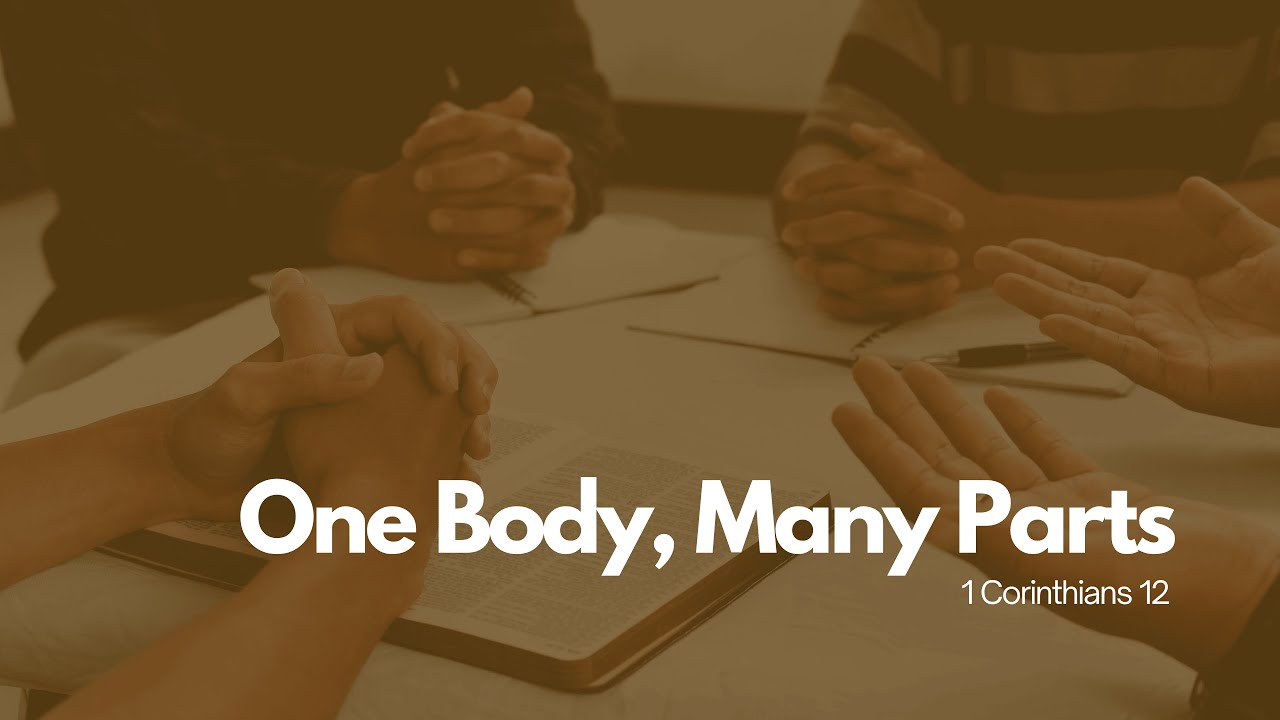 One Body, Many Parts | 1 Corinthians 12 - YouTube