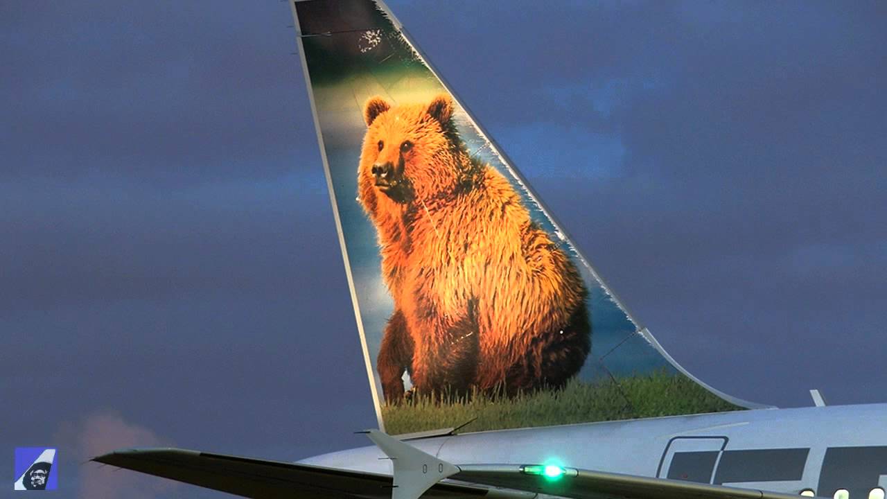 Frontier Airlines - The bear on the tail sings - YouTube