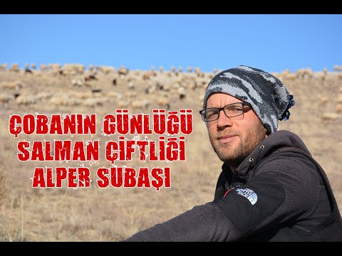 Çobanın Günlüğü Salman Çiftliği  -Alper SUBAŞI