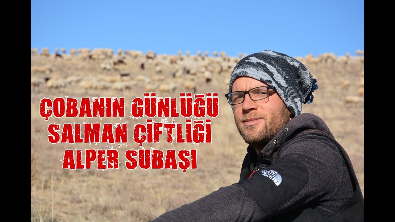 Çobanın Günlüğü Salman Çiftliği -Alper SUBAŞI - YouTube