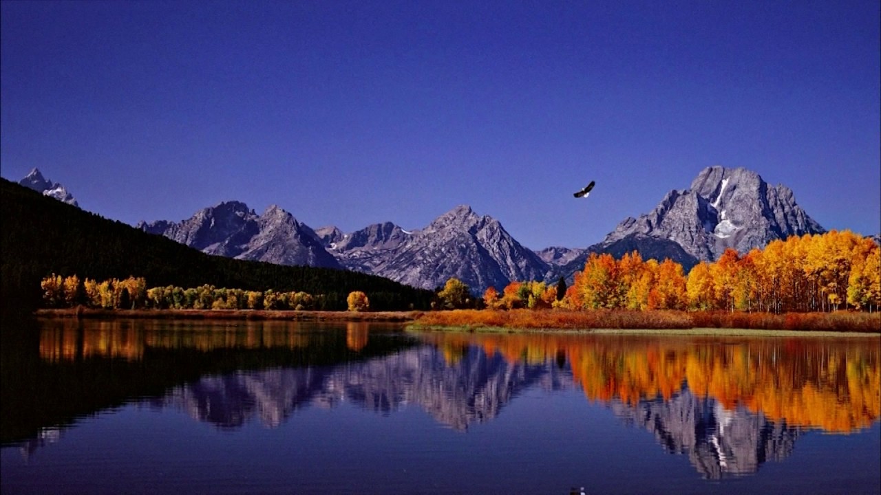 All Things Majestic YouTube all-things-majestic-youtube