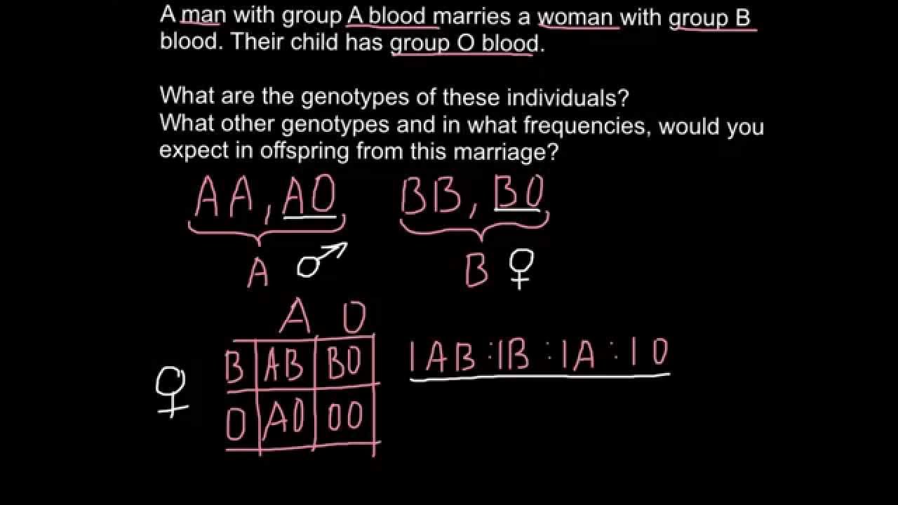 ABO Blood group problem and solution - YouTube