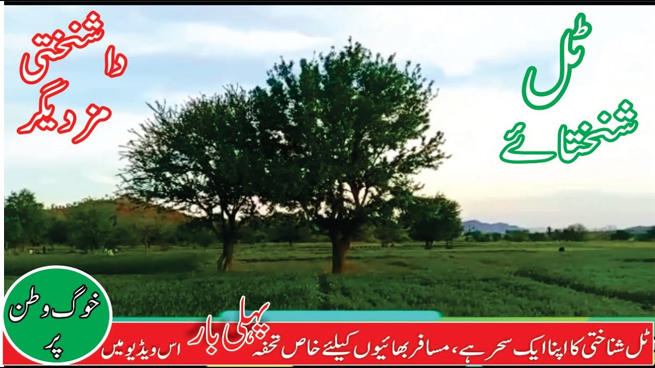 I THALL SHINAKHTAI I I Da Thall SHINAKHTI Mazdigar I I Khog Watan I ...