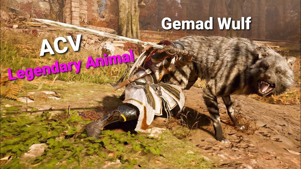 Assassin's Creed Valhalla | Gemad - Wulf | Legendary Animal | ACV - YouTube