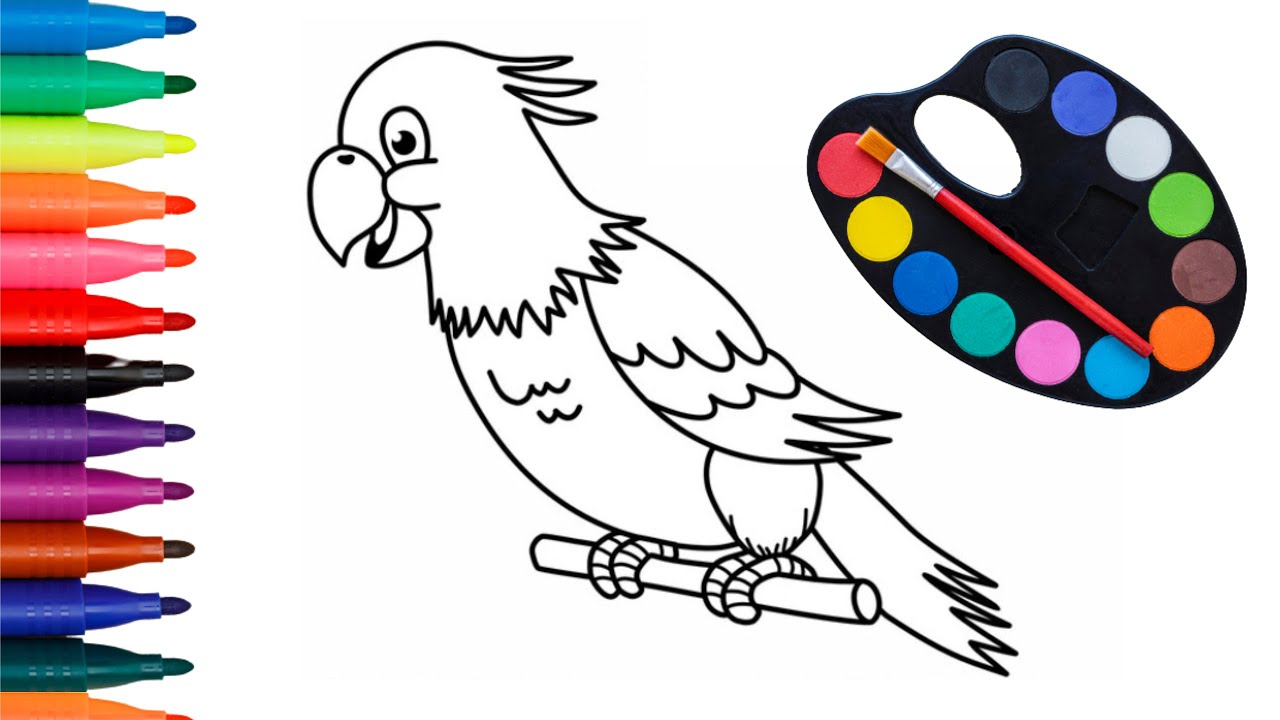 How to Draw a Parrot Cartoon Easy step by step - YouTube