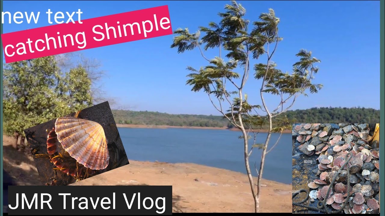 catching# Shimple Village Dam - YouTube