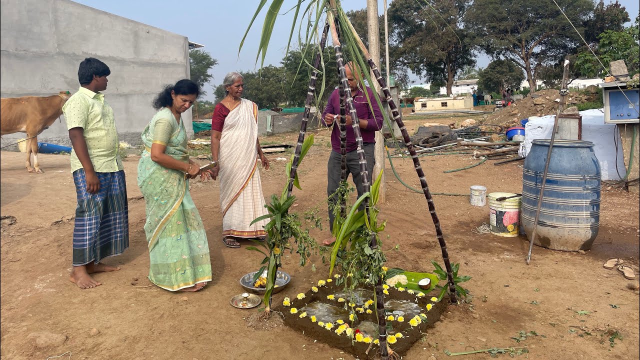 How we celebrated Maattu Pongal in a farm. #pongal #maattupongal - YouTube
