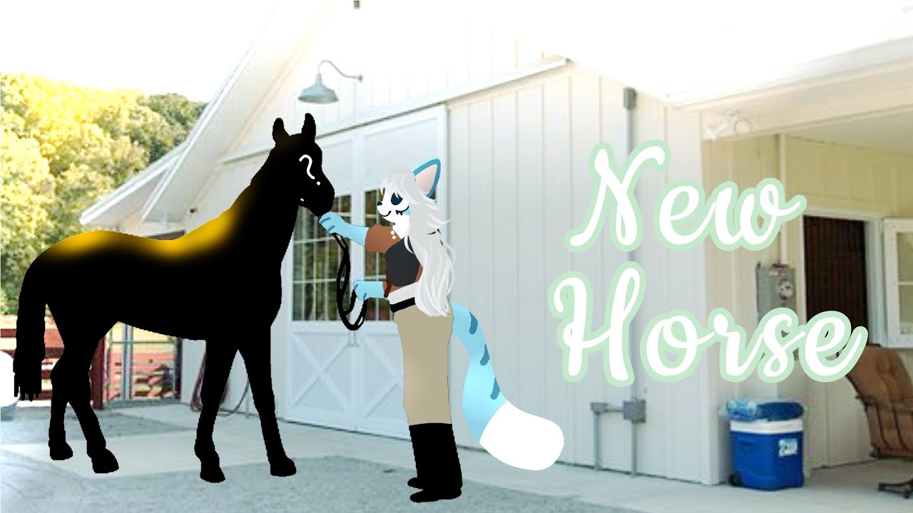 New Horse At The Barn! || Thunder Rose Stables RRP - YouTube