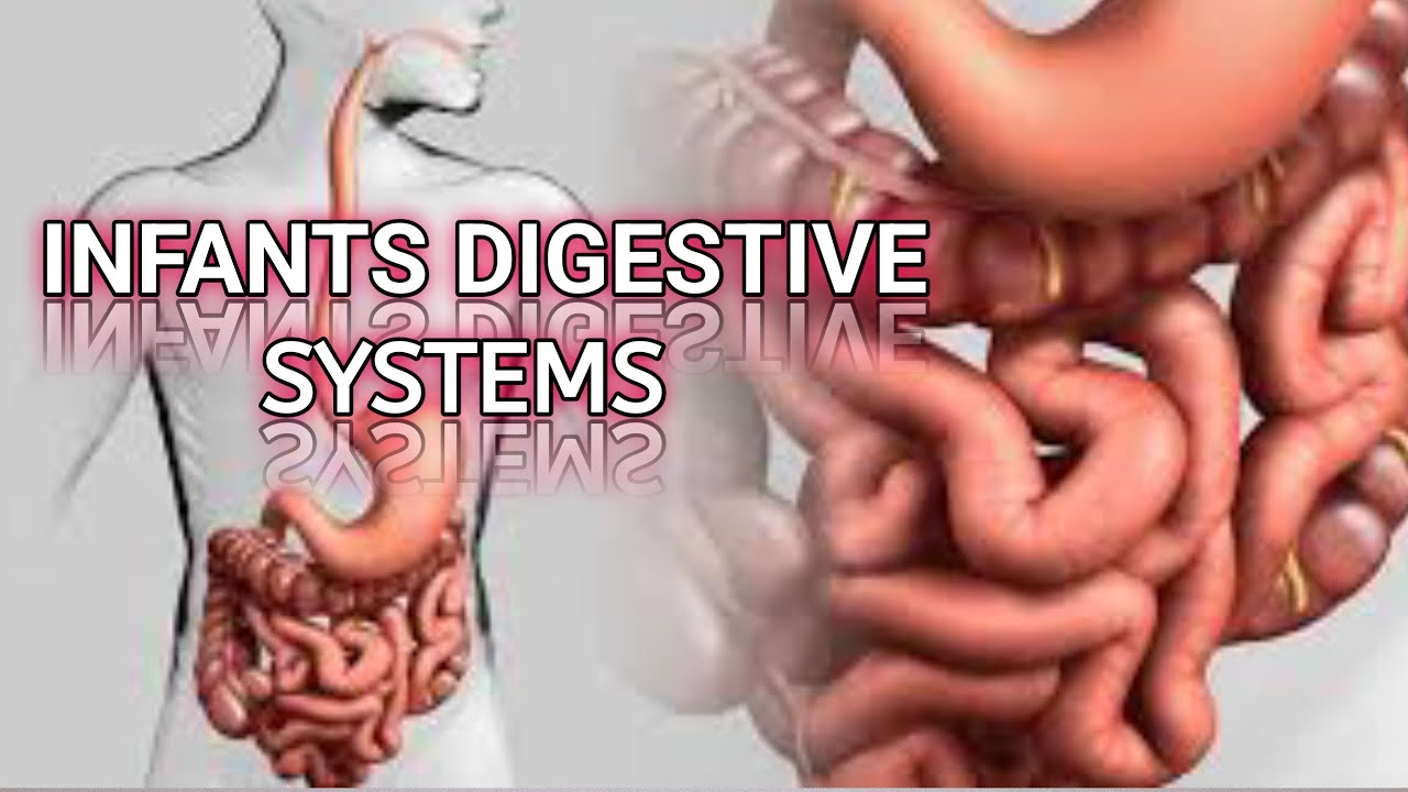 the secret behind children digestive system | best food for babies ...