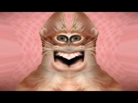 Preview 2 Numa Cat 2022 V2 Effects (Preview 2 Powerpuff Girls Scream V3 Effects)