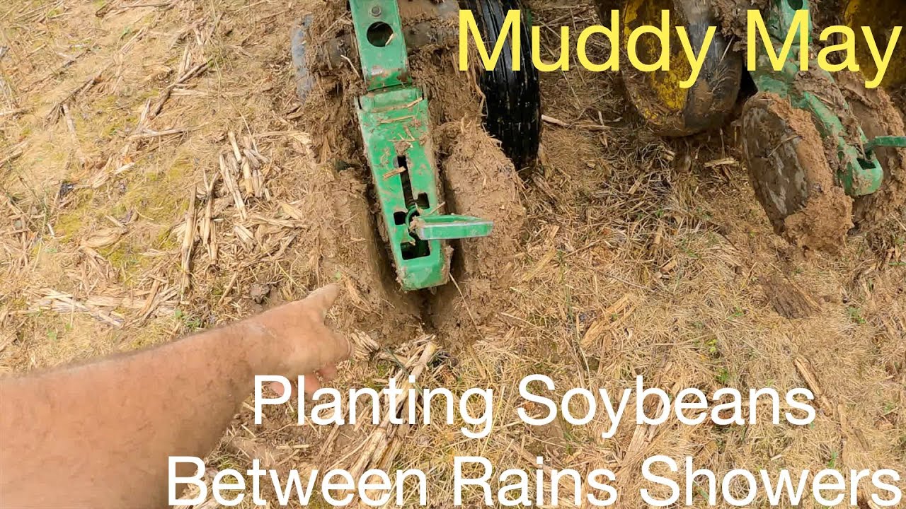 Muddy May, Planting Soybeans Between Rain Showers - YouTube