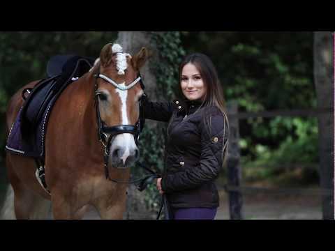 PS of Sweden Grape & Chocolate / Lookbook / winterlichtmalerei feat. alexaloha / Dressurhaflinger