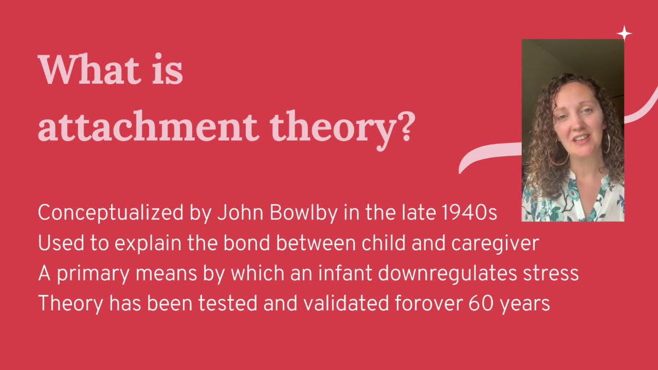 Attachment Theory: History & Process - YouTube
