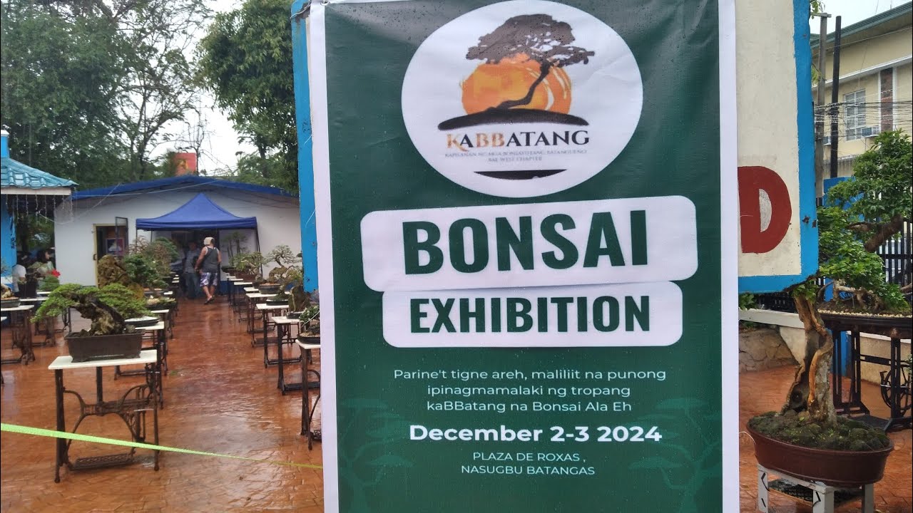 BONSAI EXHIBITION 2024 @ Fiesta de los Toros #exhibition #bonsai - YouTube