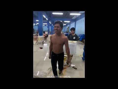 Memes Compilation [144]