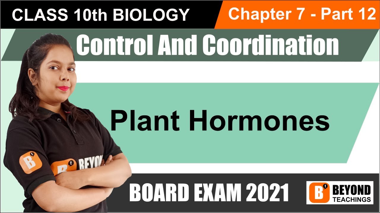 Plant Hormones - Class 10 Biology | Part-12 - YouTube