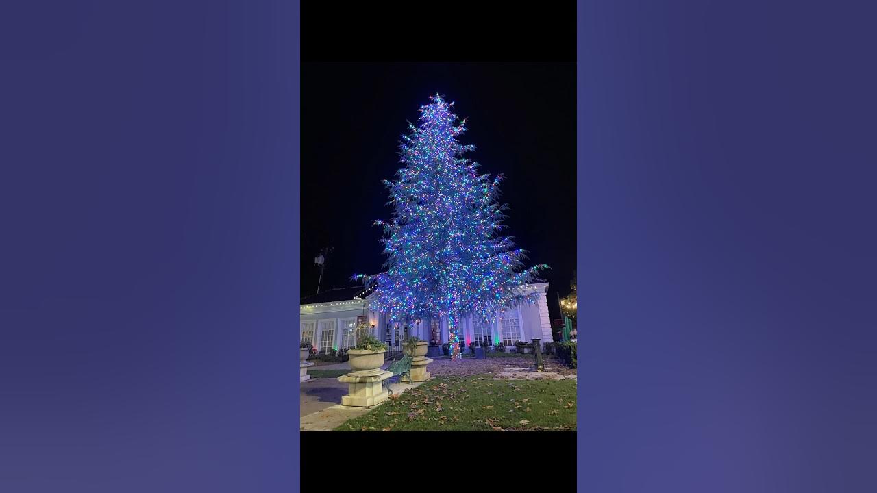 A Christmas tree - YouTube