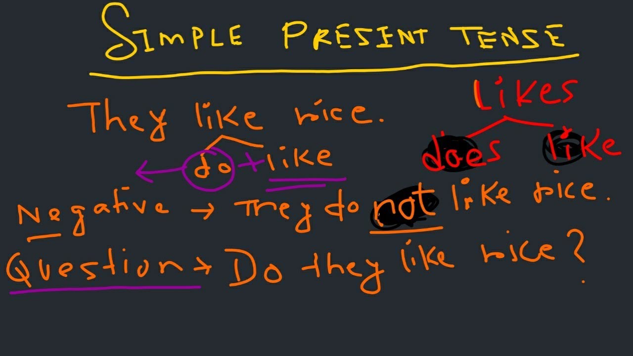 English...structure of simple present tense ... positive form ...