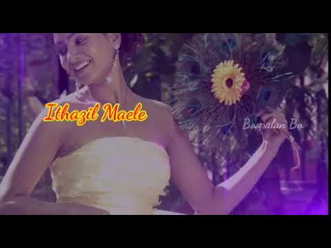 Gore Gore songs WhatsApp status video