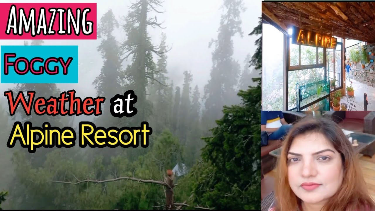 Alpine Resort Nathiagali | 🌲Alpine Hotel | Foggy Weather | Murree Tour Part 2 | Hamara Jahan ...
