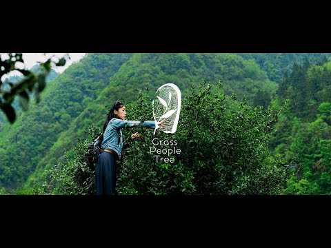 Introducing Grass People Tree - The Untold Story of Tea - YouTube