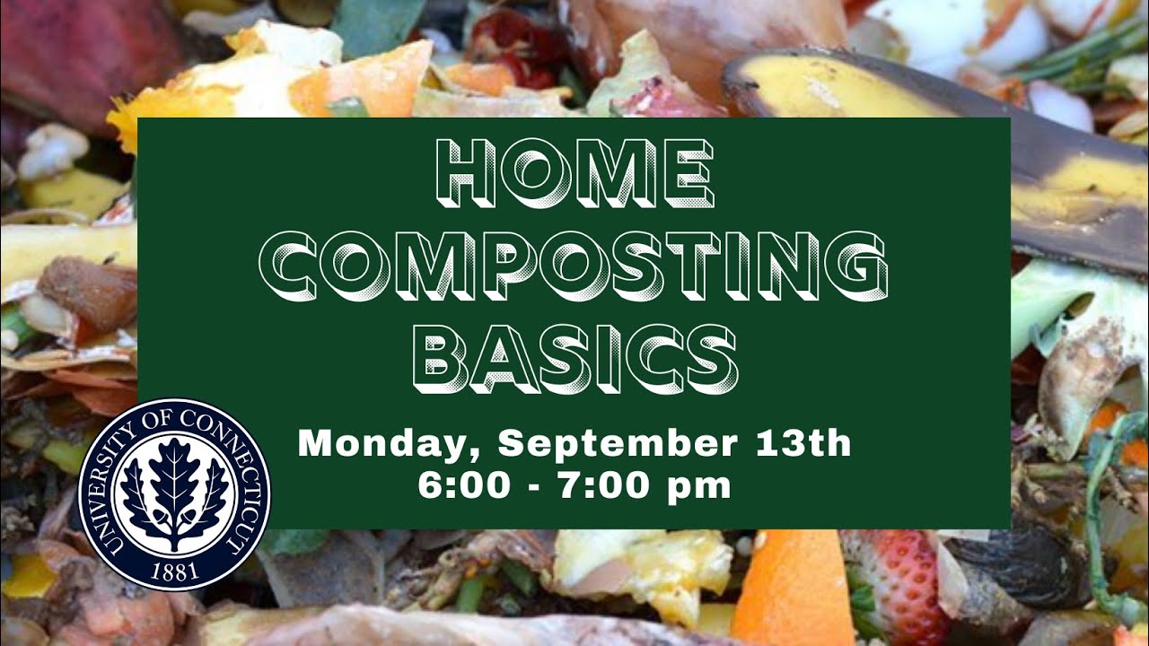 Home Composting Basics - YouTube