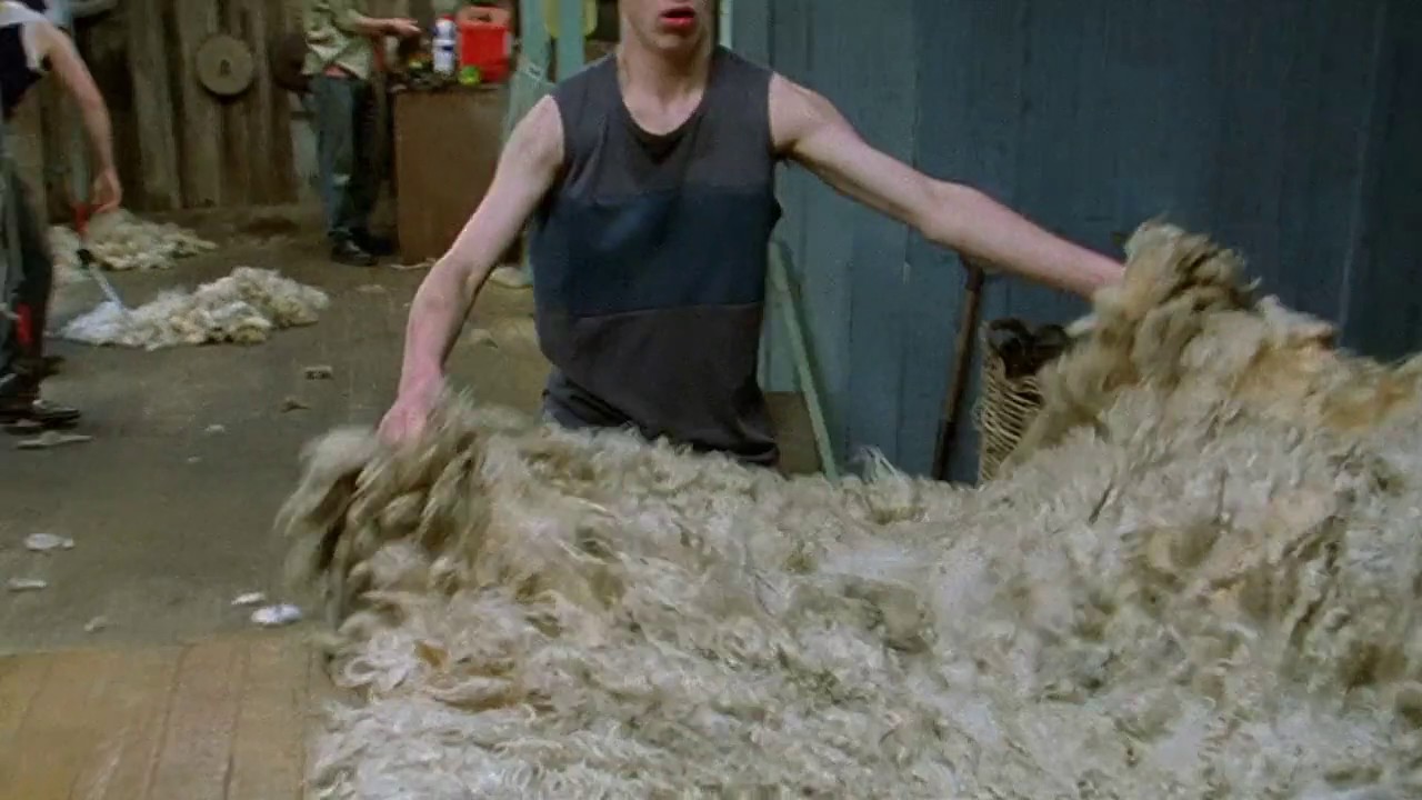 The Rouseabout trailer ( Music by Maya Petrovna) - YouTube