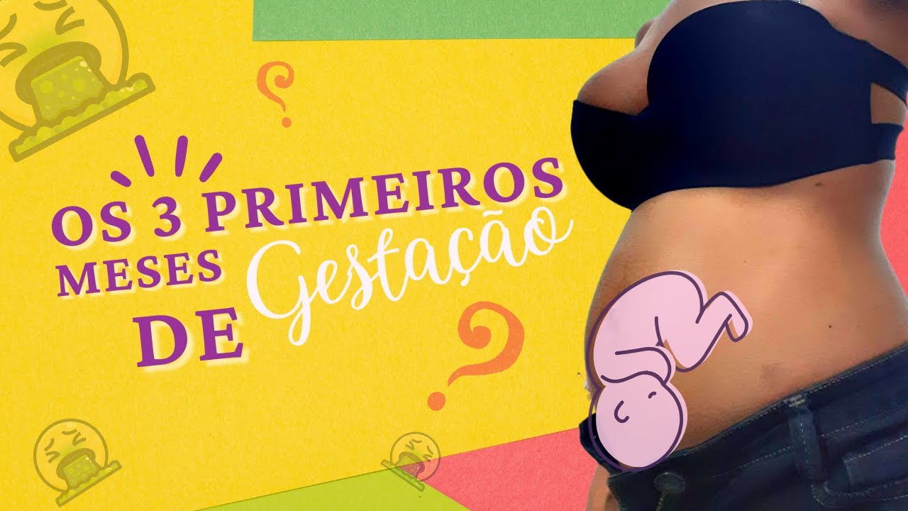 OS 3 PRIMEIROS MESES DE GESTAÇÃO 1º TRIMESTE DE 0 A 13 SEMANAS| COMO ...