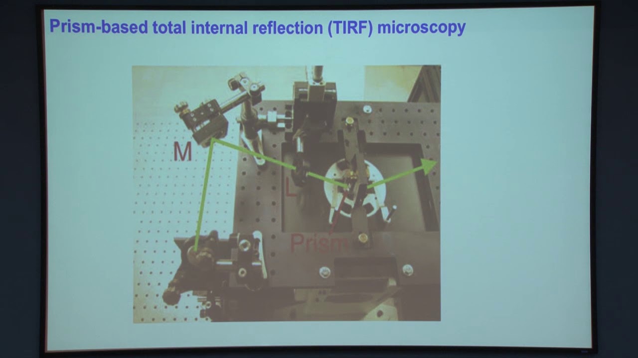 Research Techniques Single molecule FRET one molecule at a time - YouTube