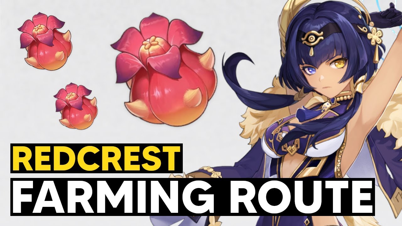 Redcrest Farming Route (Redcrest Location) - Genshin Impact - YouTube