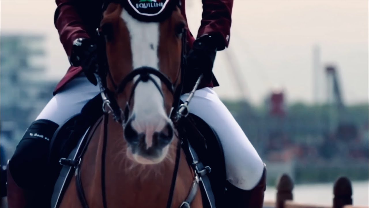 Kings & Queens | show jumping Music video - YouTube