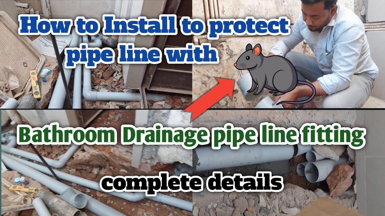 How to Install Bathroom drainage pipe! Rat problem with Details - YouTube