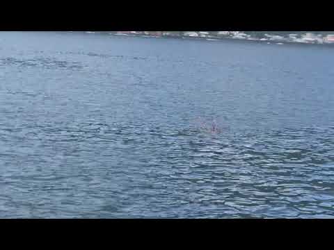 TAEMA II 03.22.19 - YouTube