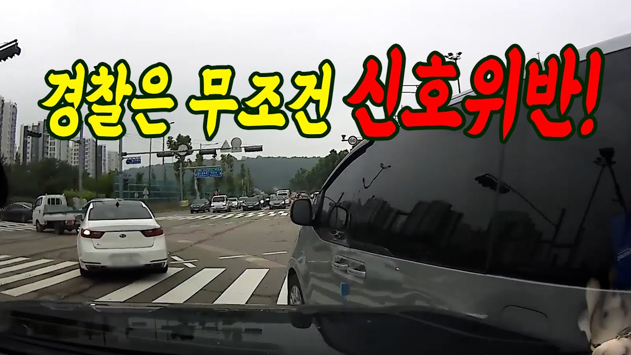 24818회 2차로 차가 좁게 좌회전하면서 황색 신호에 좌회전하던 블박차와 충돌한 사고 Youtube