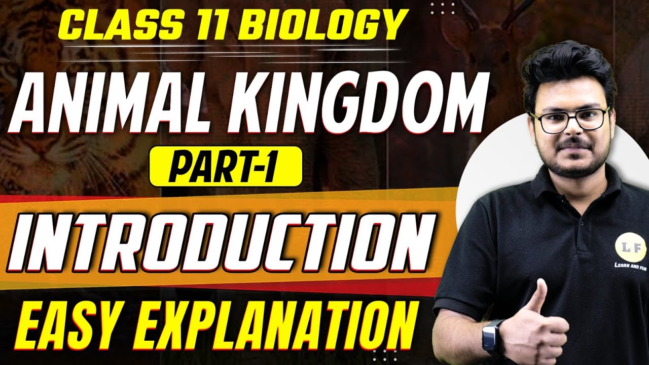 Animal Kingdom Class 11 | Part 01 | Class 11 Biology Chapter 4 ...