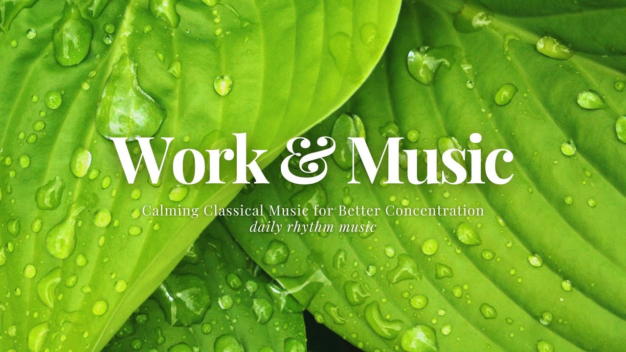 Gentle Classical Piano Music for Better Concentration | Work Music #5 ...