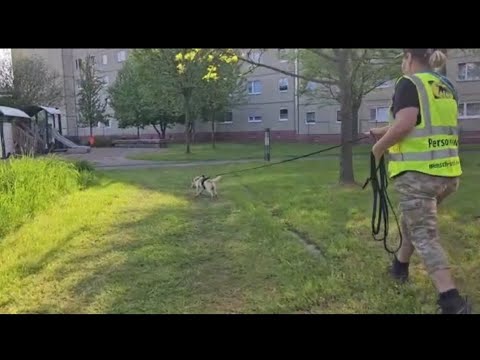 Team Fritz - das Original - YouTube