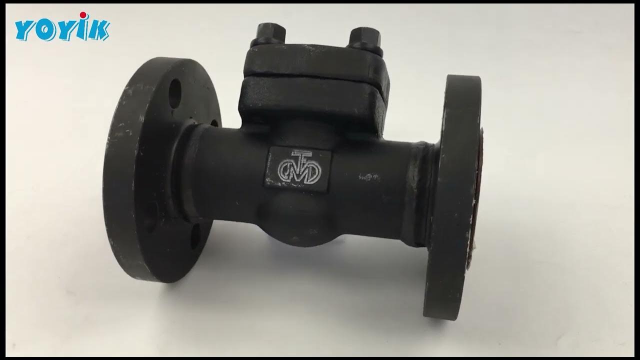 China manufacturer cast steel check valve H41H-16C DN25 PN16 YOYIK brand for power plant - YouTube