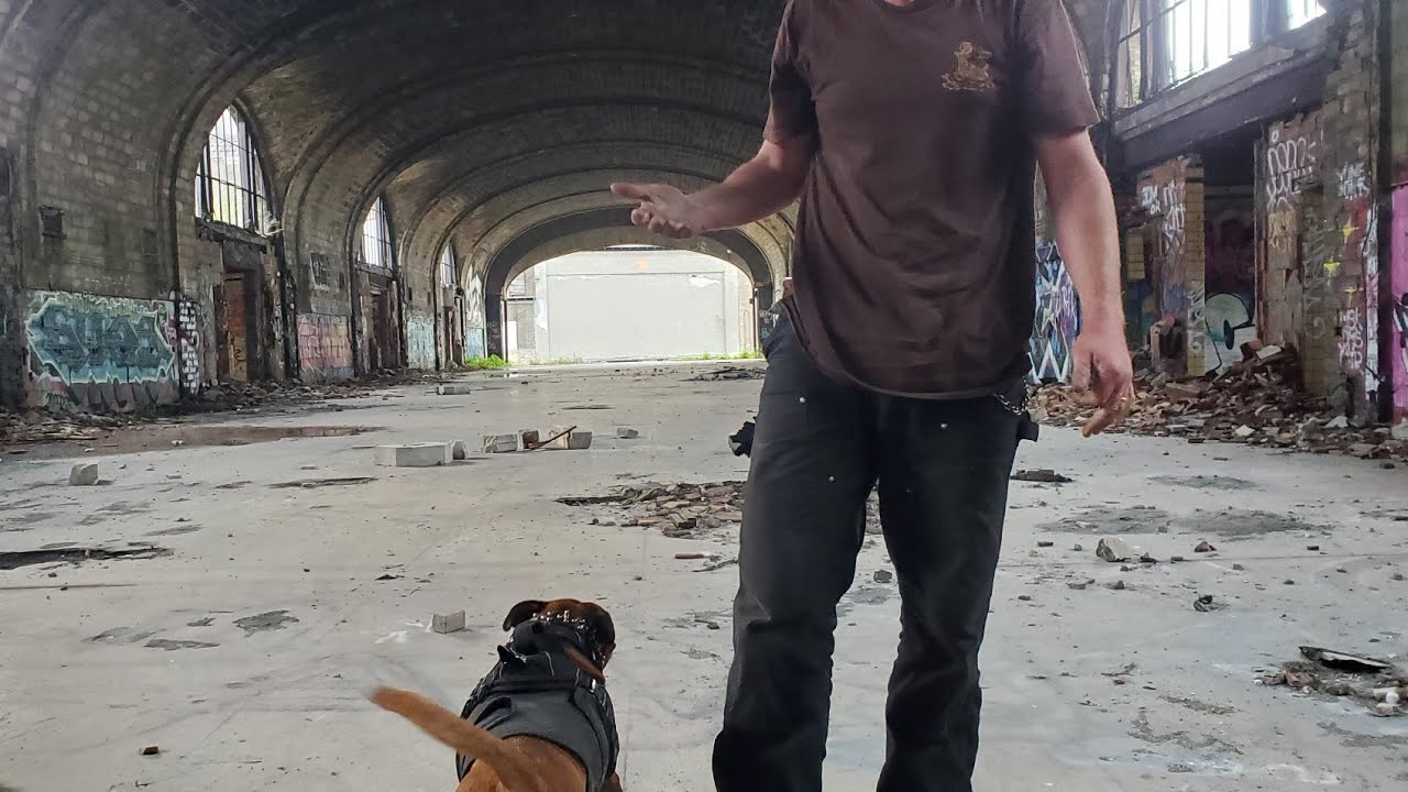 Train Hopping Checking Out New York summer2024 - YouTube