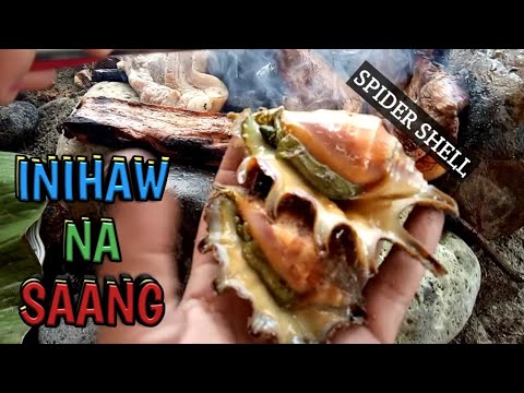 Inihaw na Saang - Grilled Sea Shells (Spider Shell) - YouTube